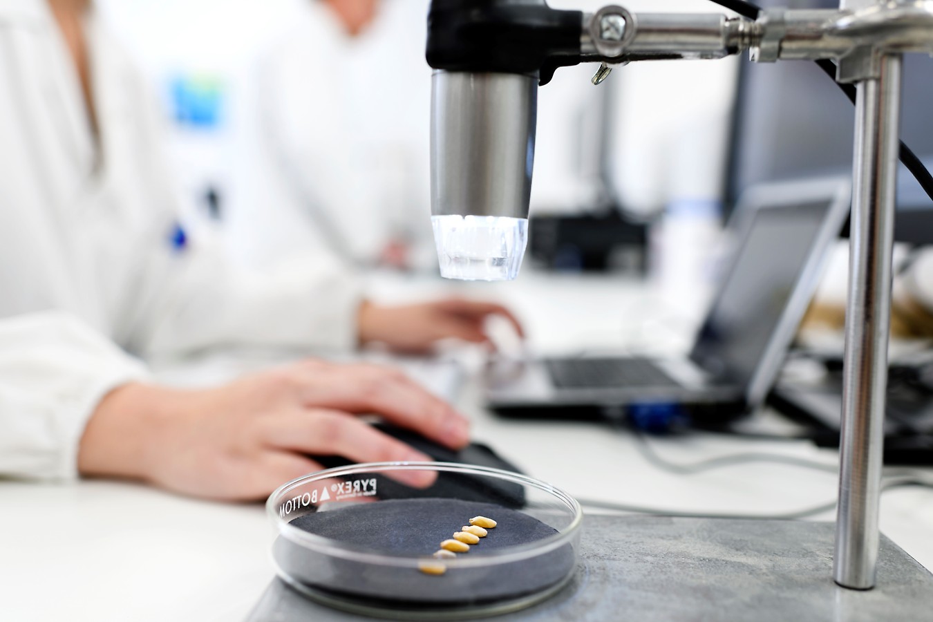 Food and feed safety